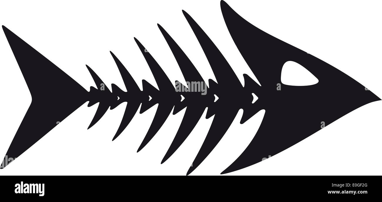 primitive fish skeleton Stock Photo - Alamy