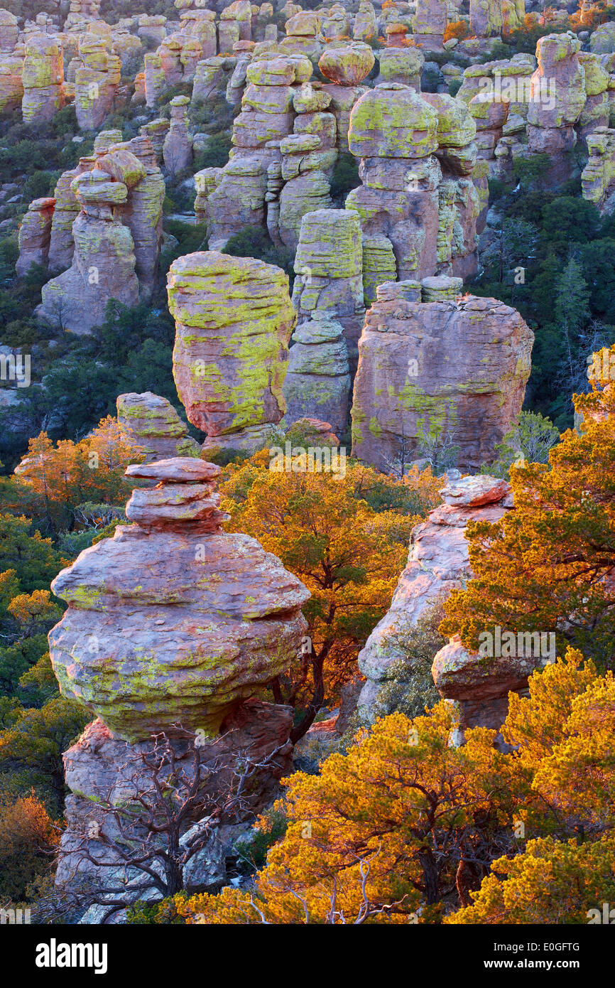 Bonita Canyon Drive, Chiricahua National Monument, Arizona, USA ...