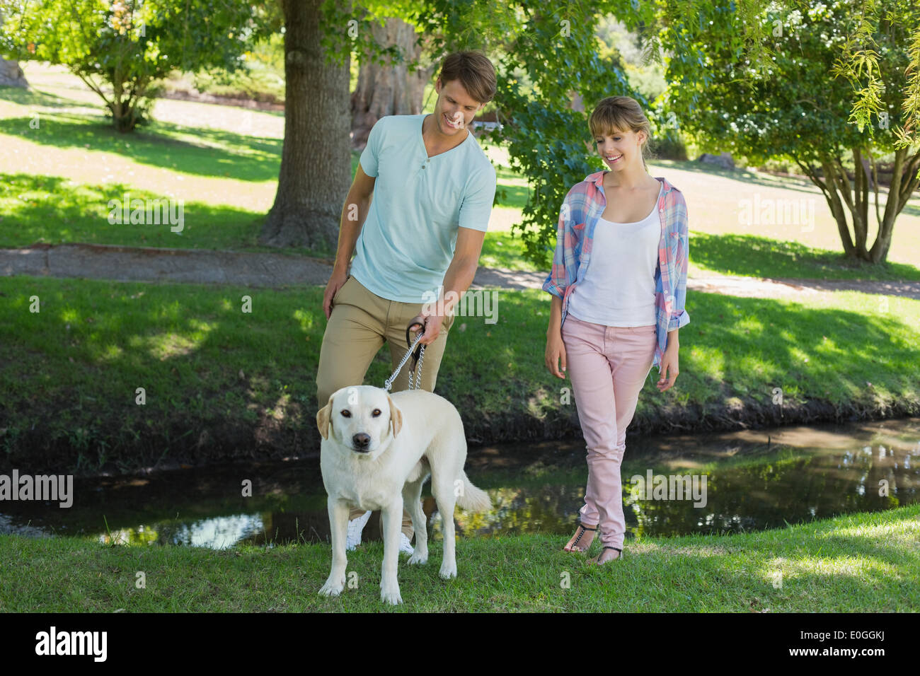 Female walking labrador hi-res stock photography and images - Alamy