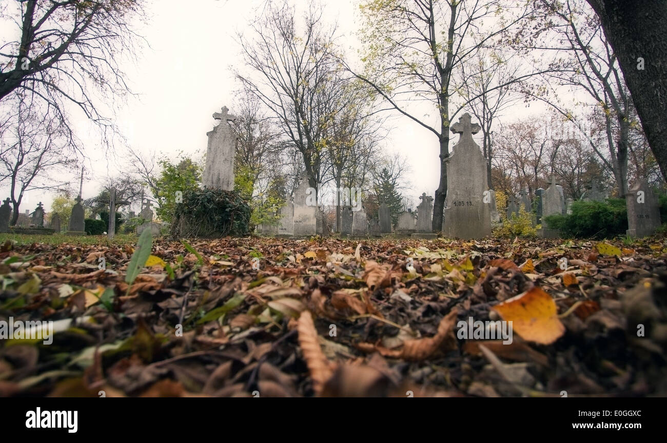 Roman catholic cemetery hi-res stock photography and images - Alamy