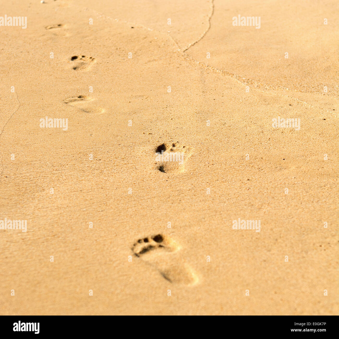 Human footsteps on atlantic fine beach sand Stock Photo - Alamy