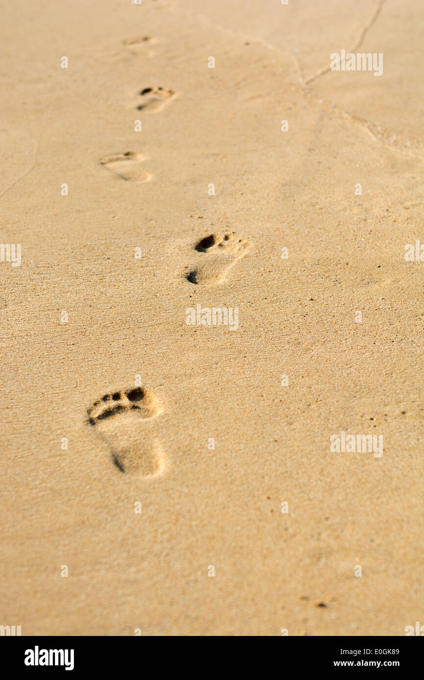 Human footsteps on atlantic fine beach sand Stock Photo - Alamy
