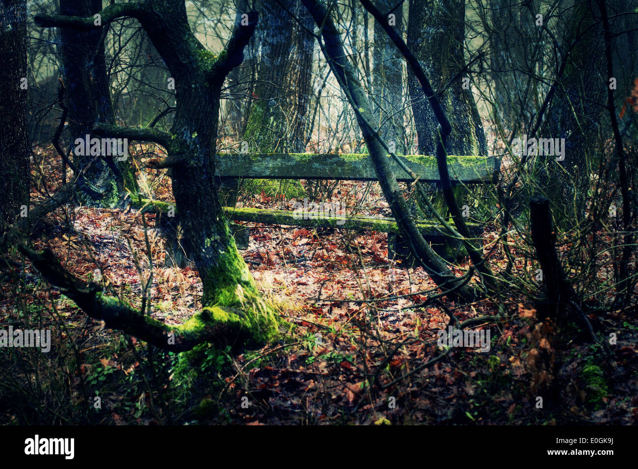 Being hidden hi-res stock photography and images - Alamy