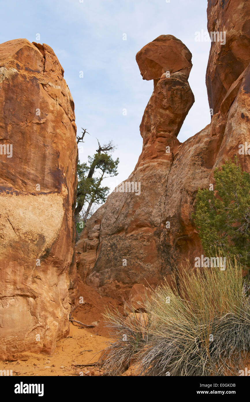 Devils Garden, Arches National Park, Utah, USA, America Stock Photo - Alamy