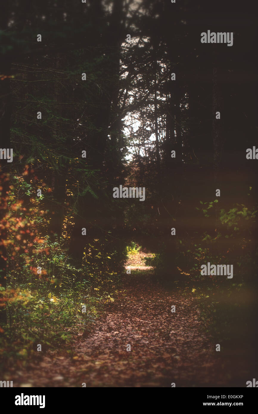 Scary path hi-res stock photography and images - Alamy