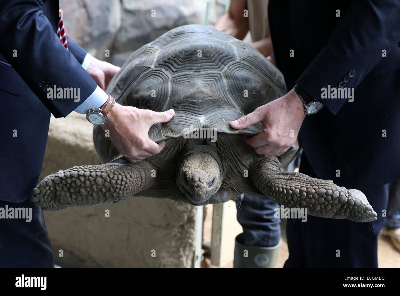 Darwineum zoo hi-res stock photography and images - Alamy