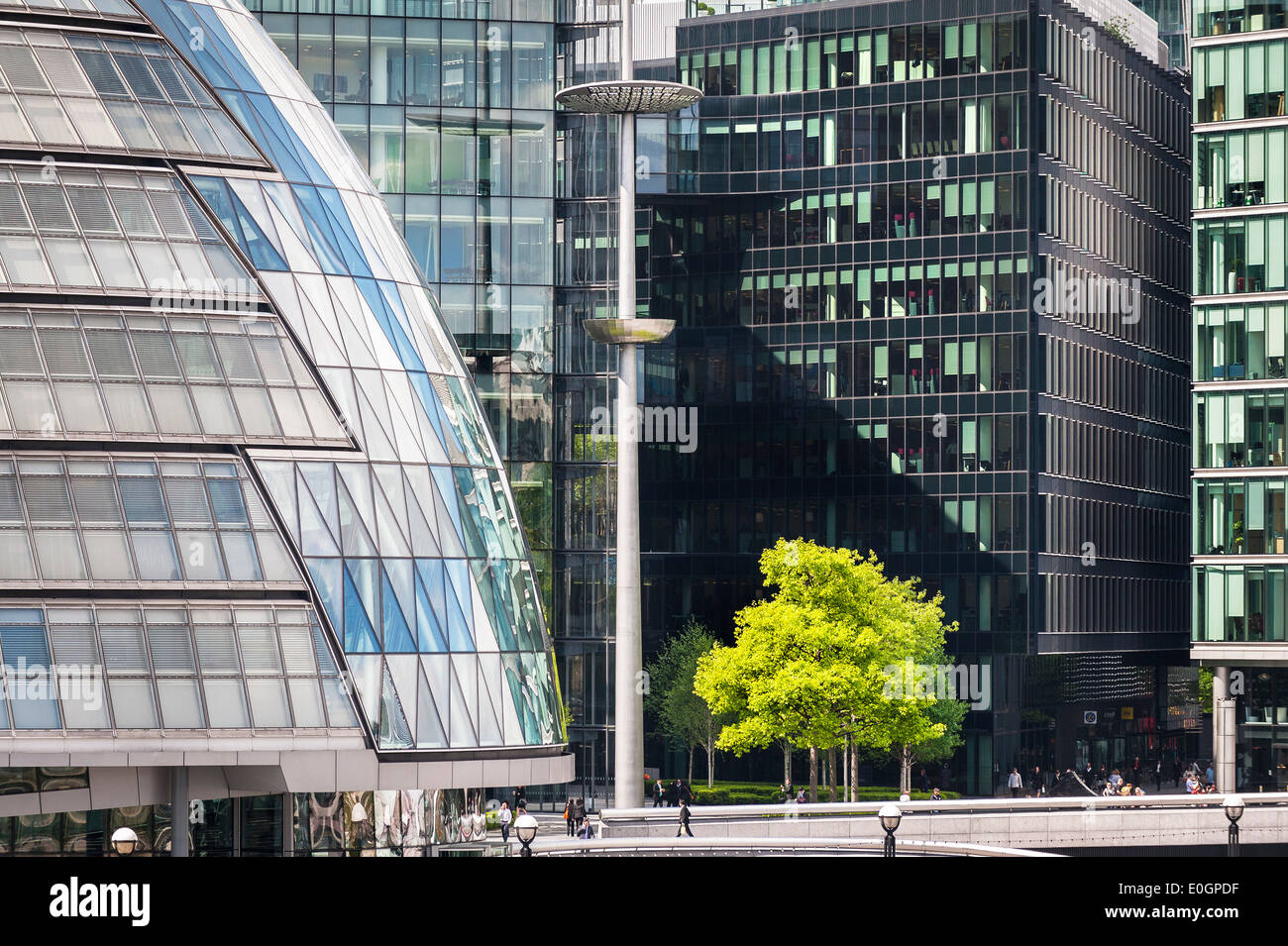 Trees growing amongst high rose buildings on the South Bank in London ...