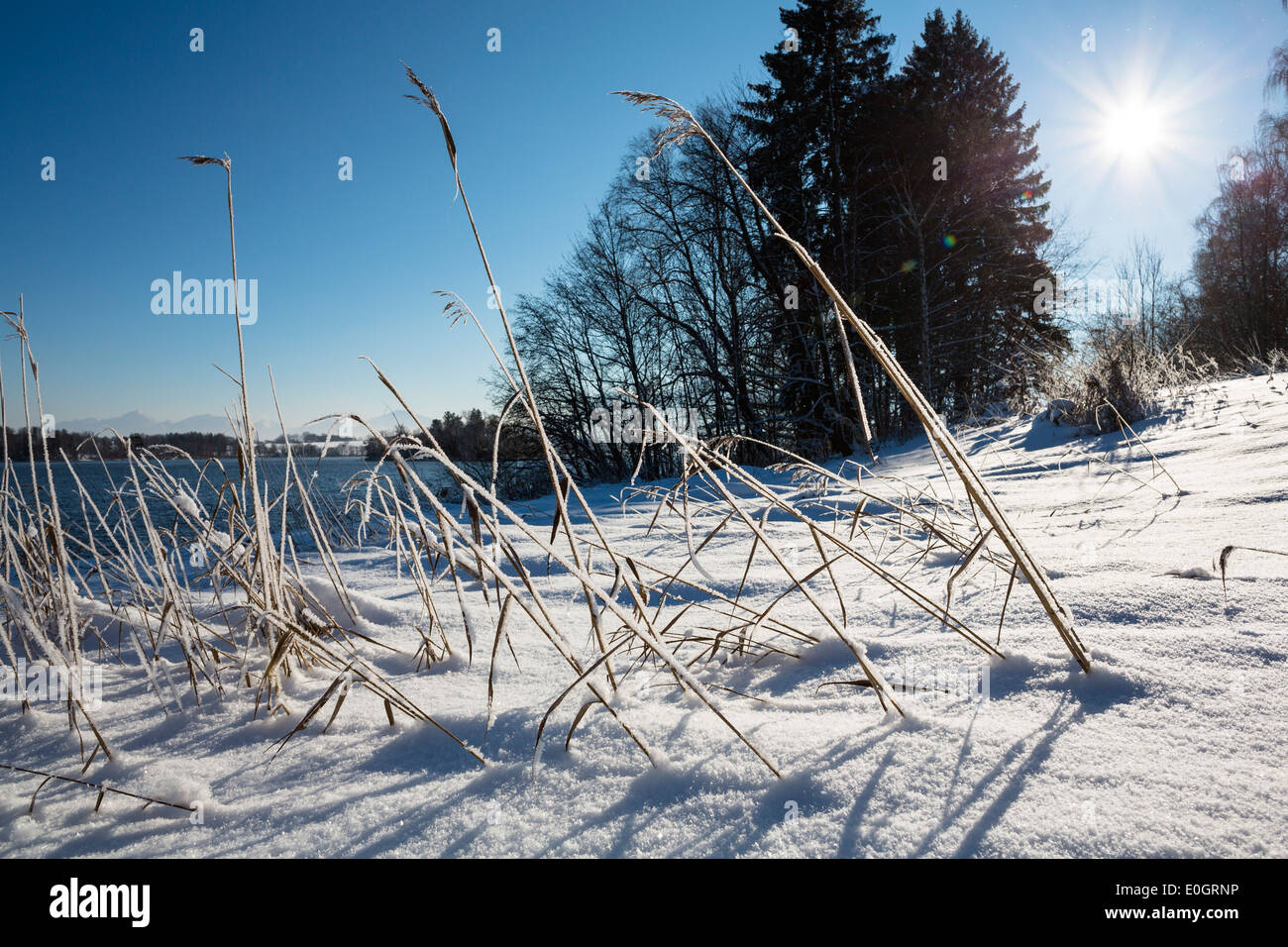Winterscenery near Uffing at lake Staffelsee, Lake Staffelsee, Upper ...