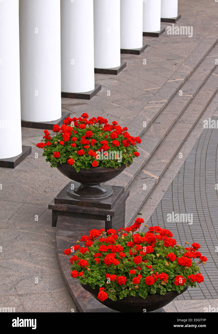 Classical style colonnade and flower pots with red buds Stock Photo - Alamy