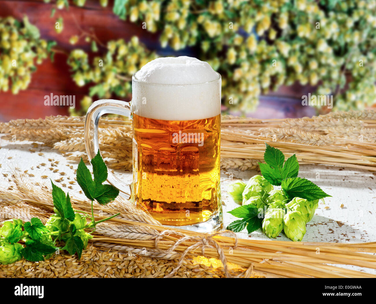 beer glass hops and barley Stock Photo - Alamy