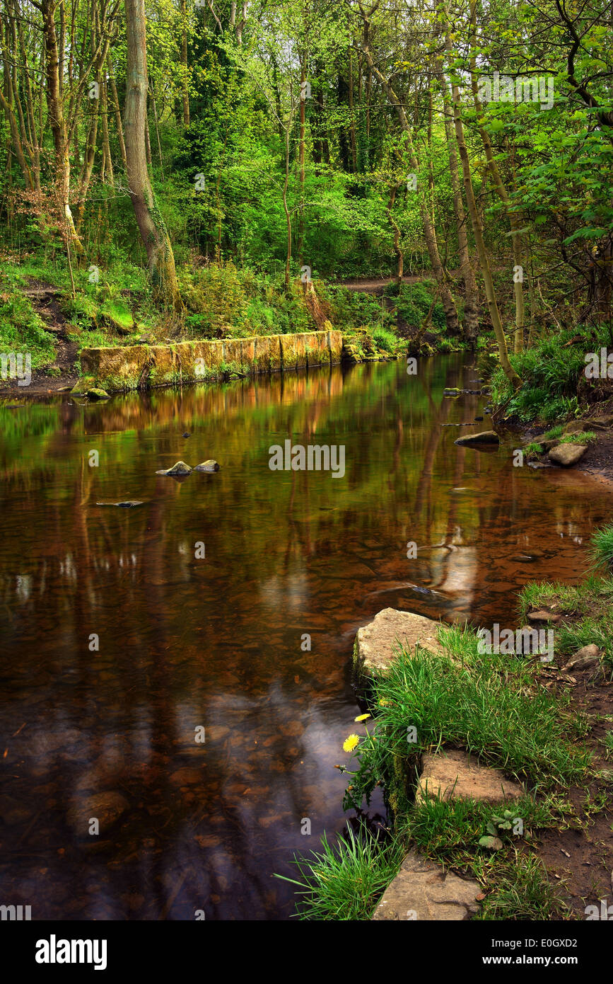 UK,South Yorkshire,Sheffield,Rivelin Valley,River Rivelin Reflections ...