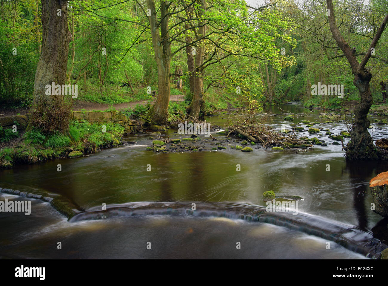 Rivelin waterfalls hi-res stock photography and images - Alamy