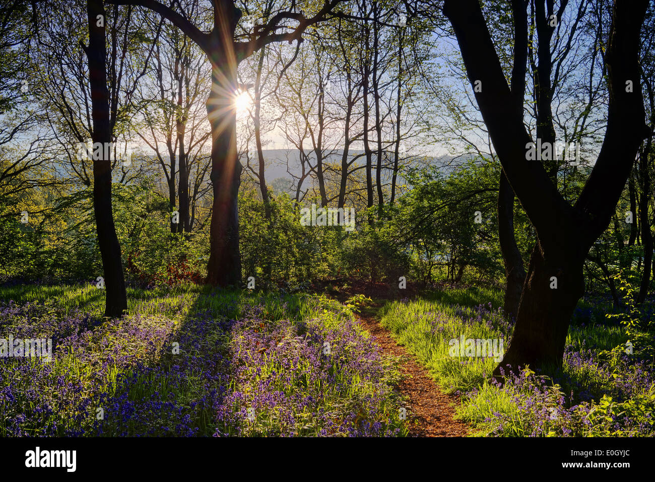 Spring sunrise south yorkshire hi-res stock photography and images - Alamy