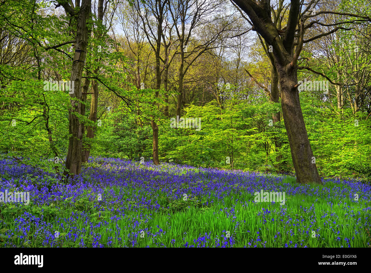 Sheffield yorkshire woolley wood hi-res stock photography and images ...
