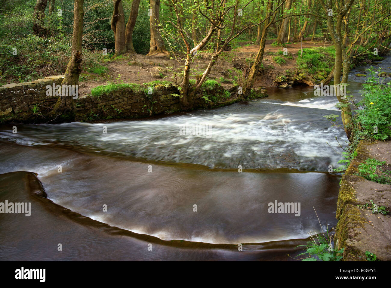 UK,South Yorkshire,Sheffield,Rivelin Valley,River Rivelin,Roscoe Weir ...