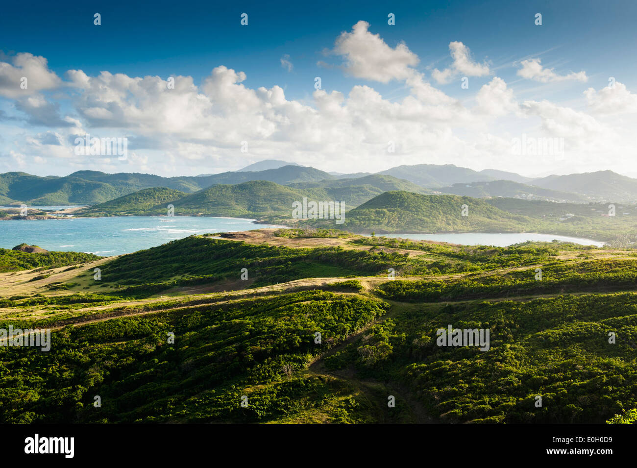 Coastal landscape with cactus, St. Lucia, Windward Islands, Lesser ...
