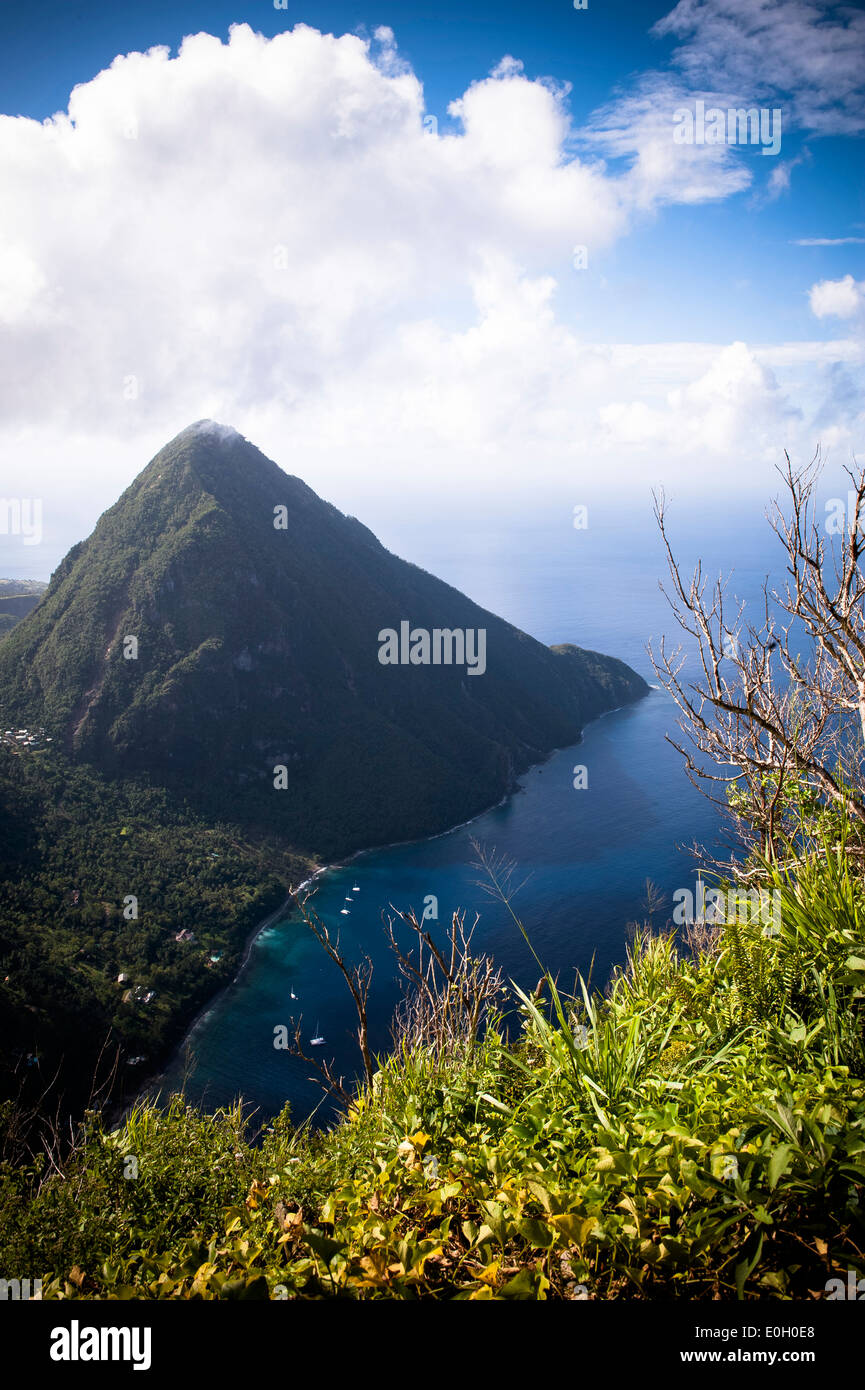 Caribbean mountain on the coast line, Petit Piton, St. Lucia, Windward ...