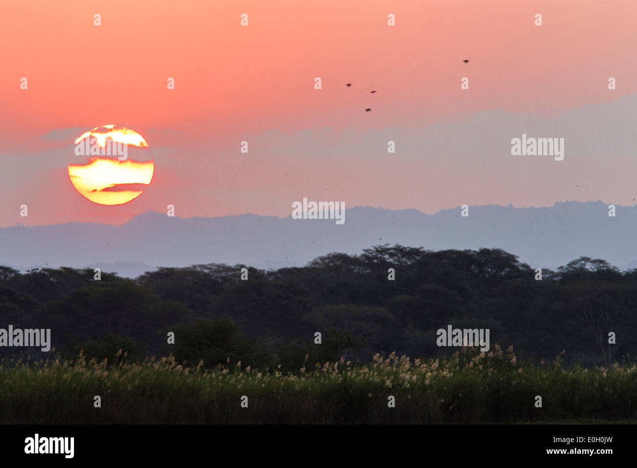 Dusk in liwonde national park hi-res stock photography and images - Alamy