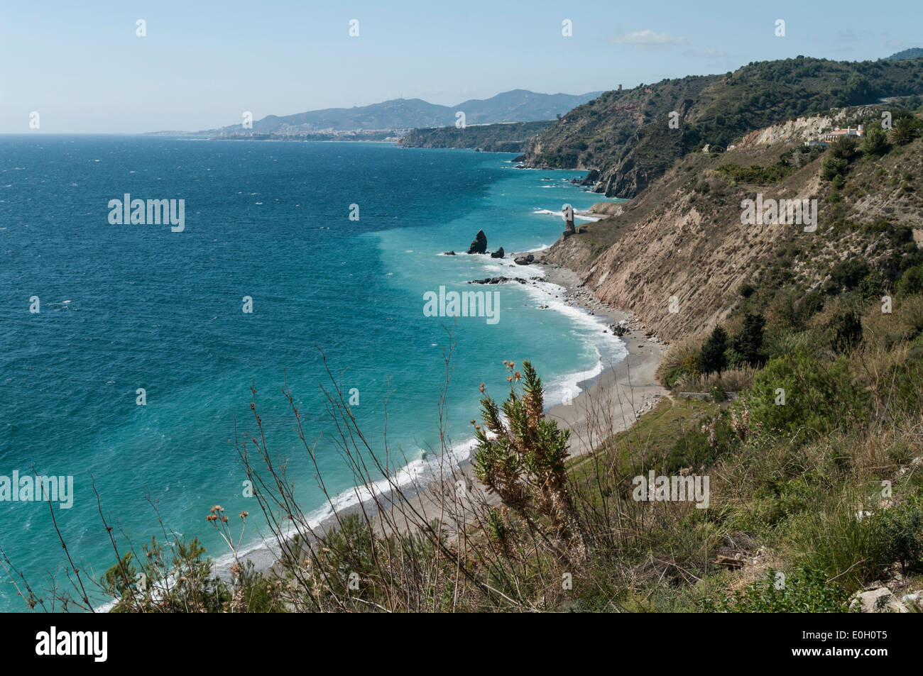 La mona hi-res stock photography and images - Alamy