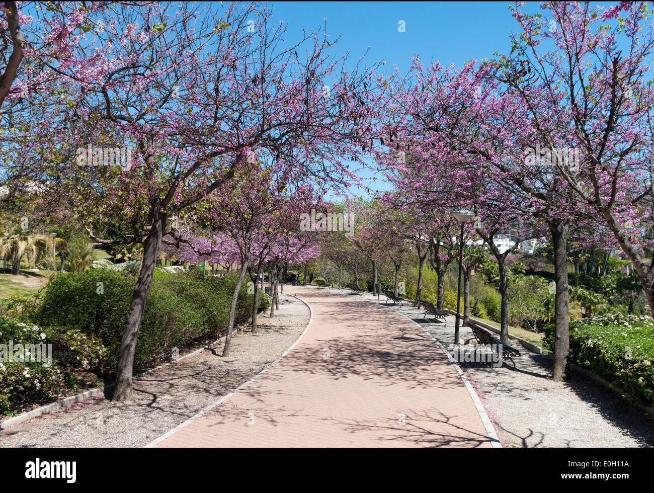 Parque de la Paloma, Benalmadena, Spain Stock Photo - Alamy