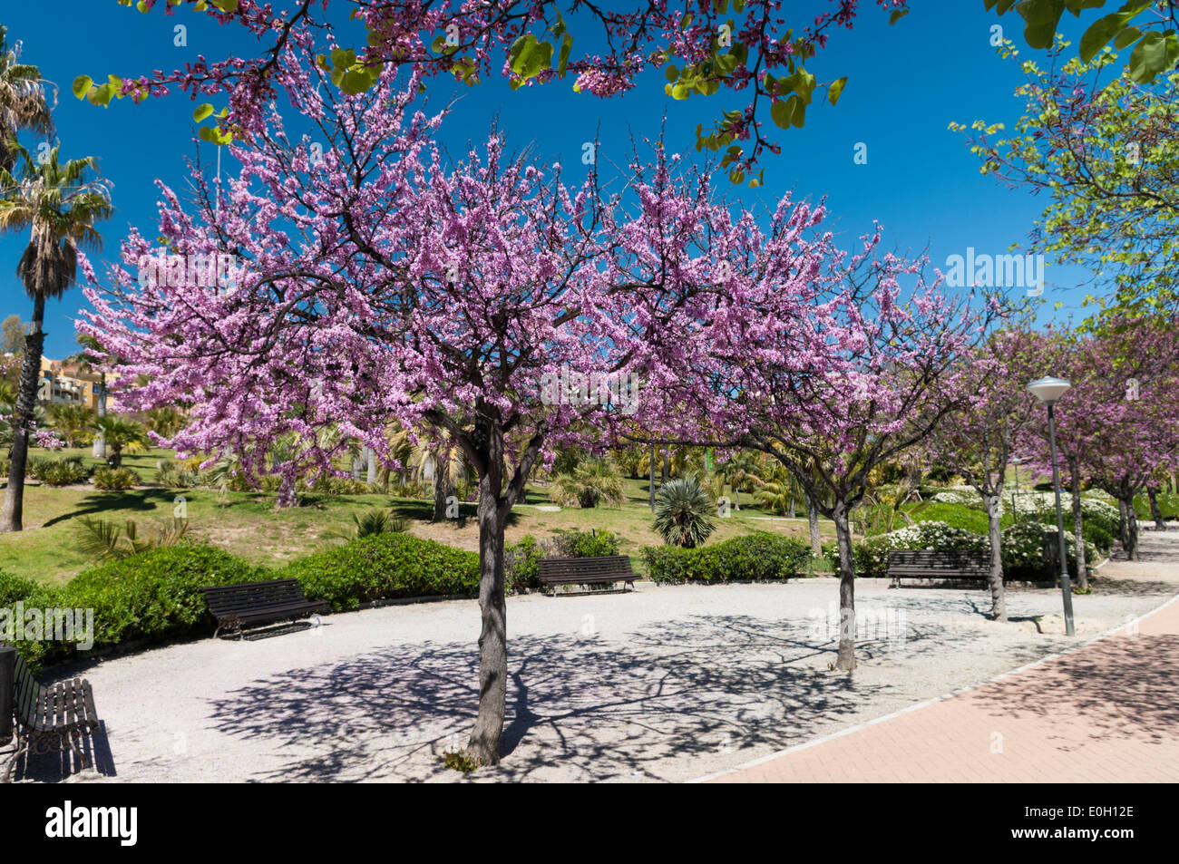 Parque paloma benalmadena hi-res stock photography and images - Alamy