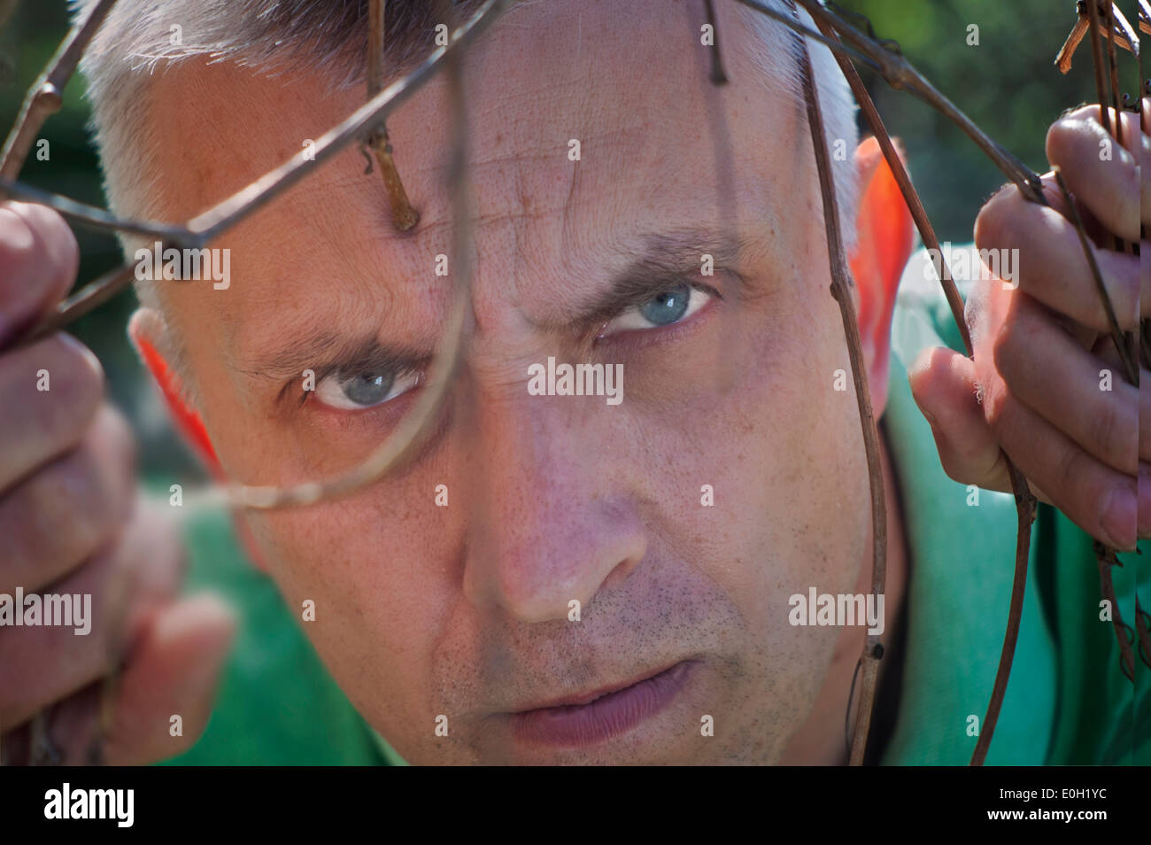 Crime look hi-res stock photography and images - Alamy
