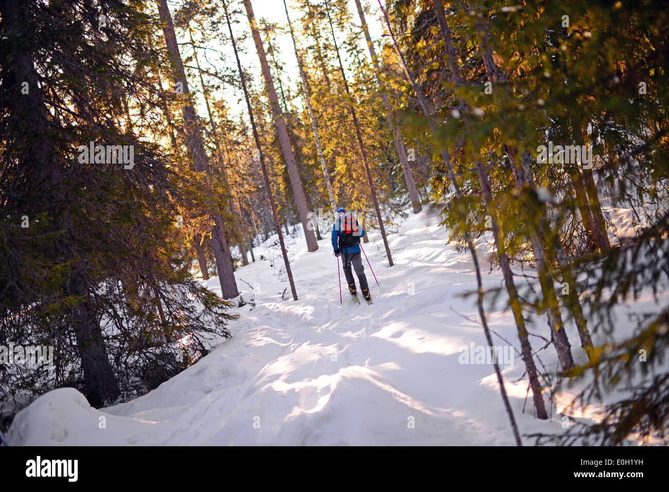 Altai Skiing in Pyhä ski resort, Lapland, Finland Stock Photo - Alamy