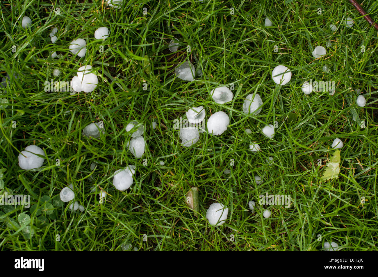 Ice crystals as a result of hail storm Stock Photo - Alamy