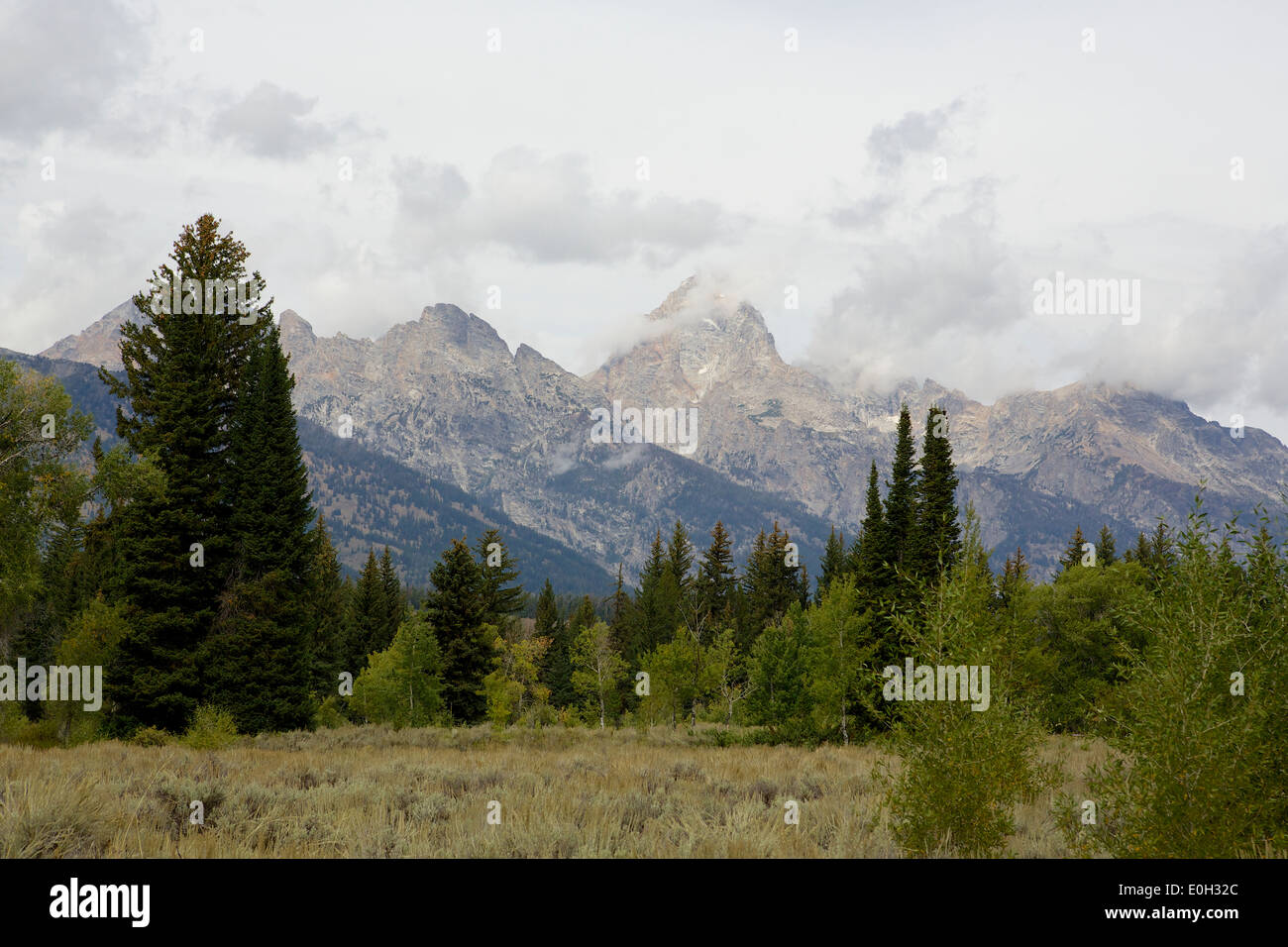 A view towards the mountain range of the Grand Tetons including Mount ...