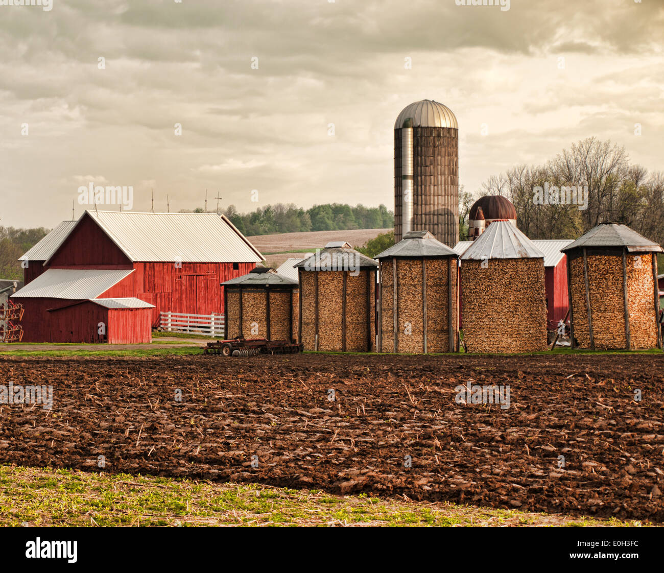 maize farm with silos Stock Photo - Alamy