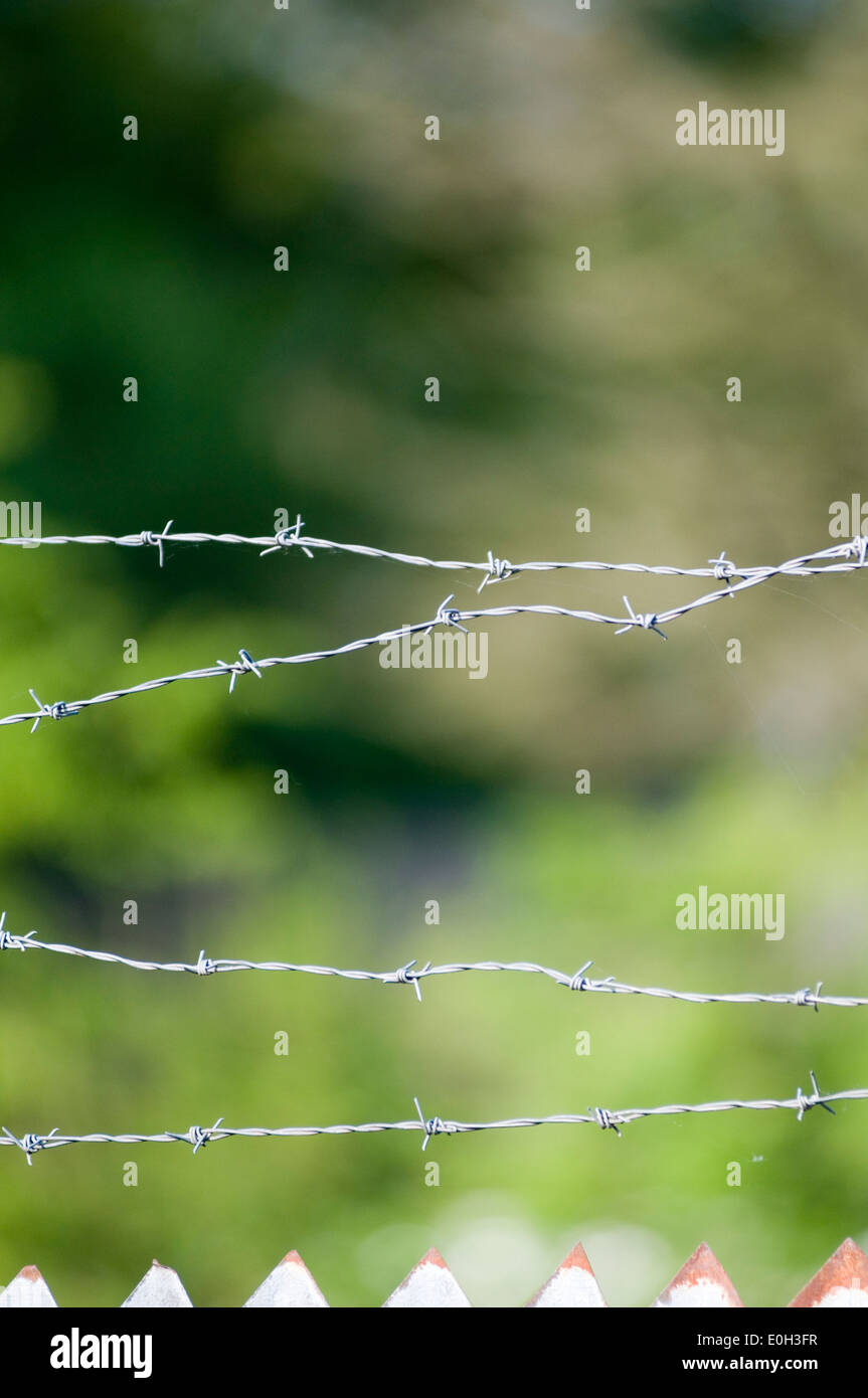 Barbwire fence hi-res stock photography and images - Alamy