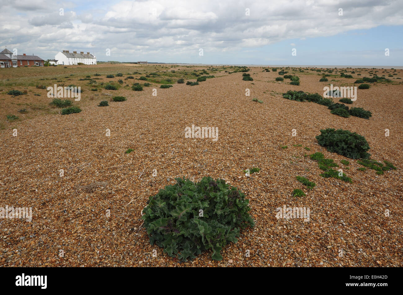 Shingle street hi-res stock photography and images - Alamy