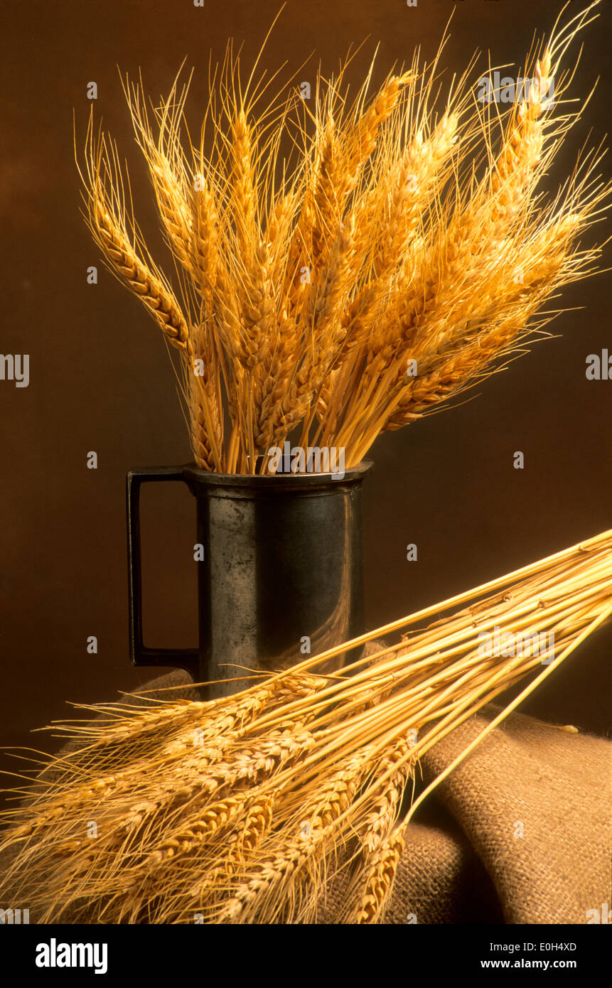 All wheat hi-res stock photography and images - Alamy