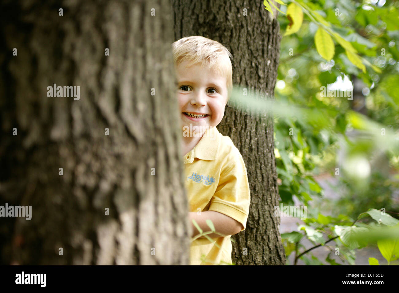 Boy standing behind tree hi-res stock photography and images - Alamy