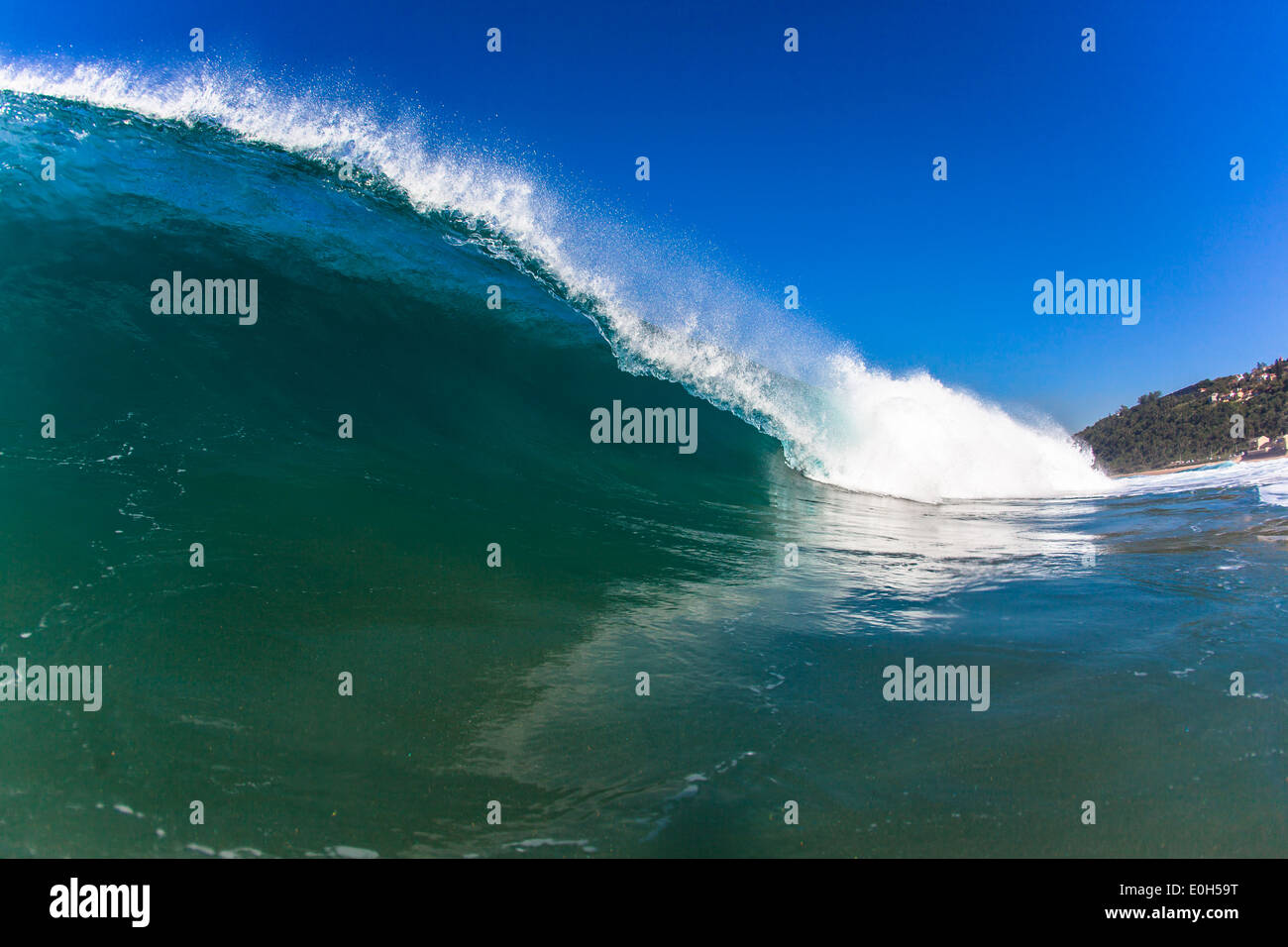 Ocean wave swimming closeup inside crashing swells of water Stock Photo ...
