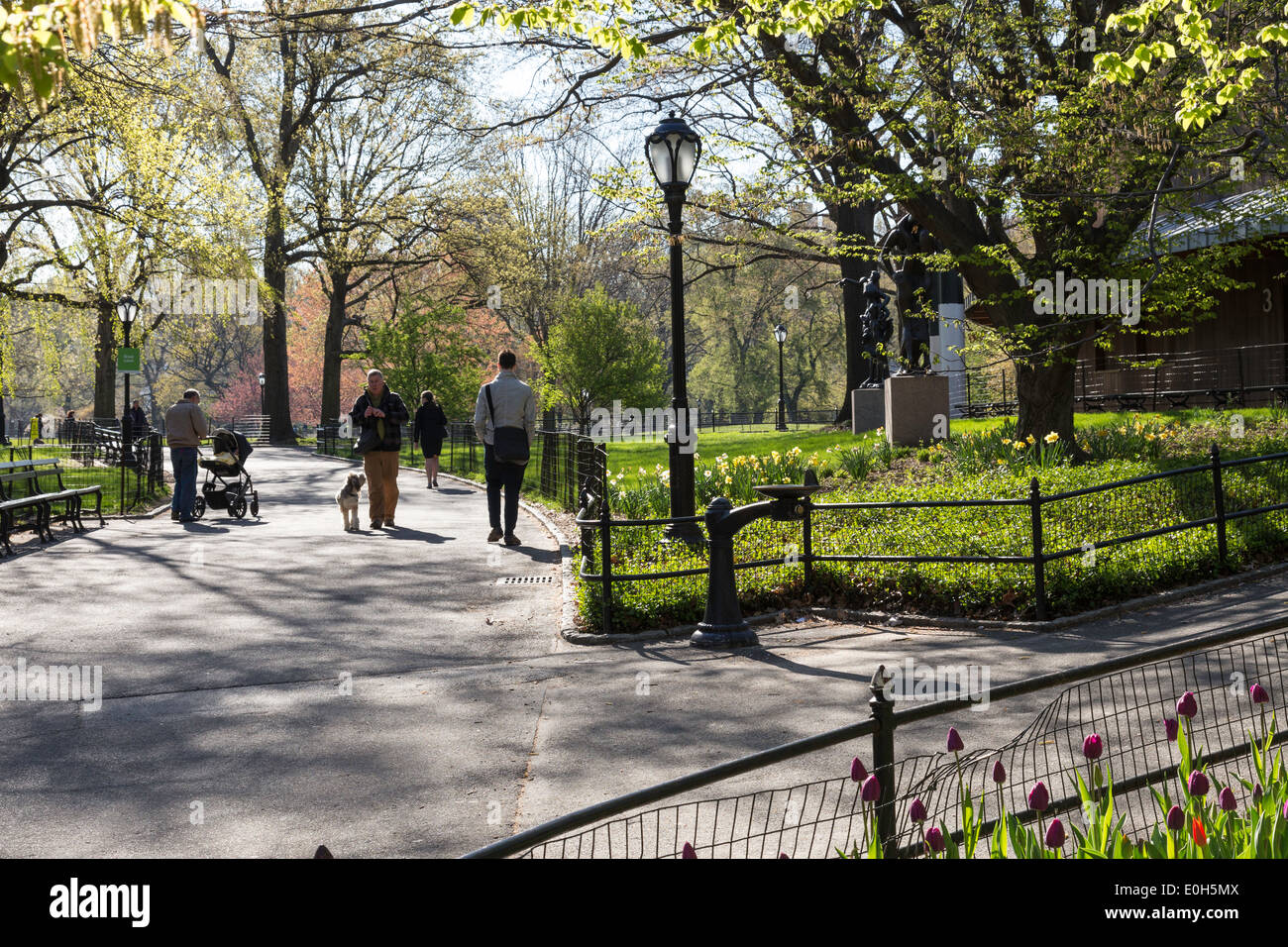 Pathway activity hi-res stock photography and images - Alamy