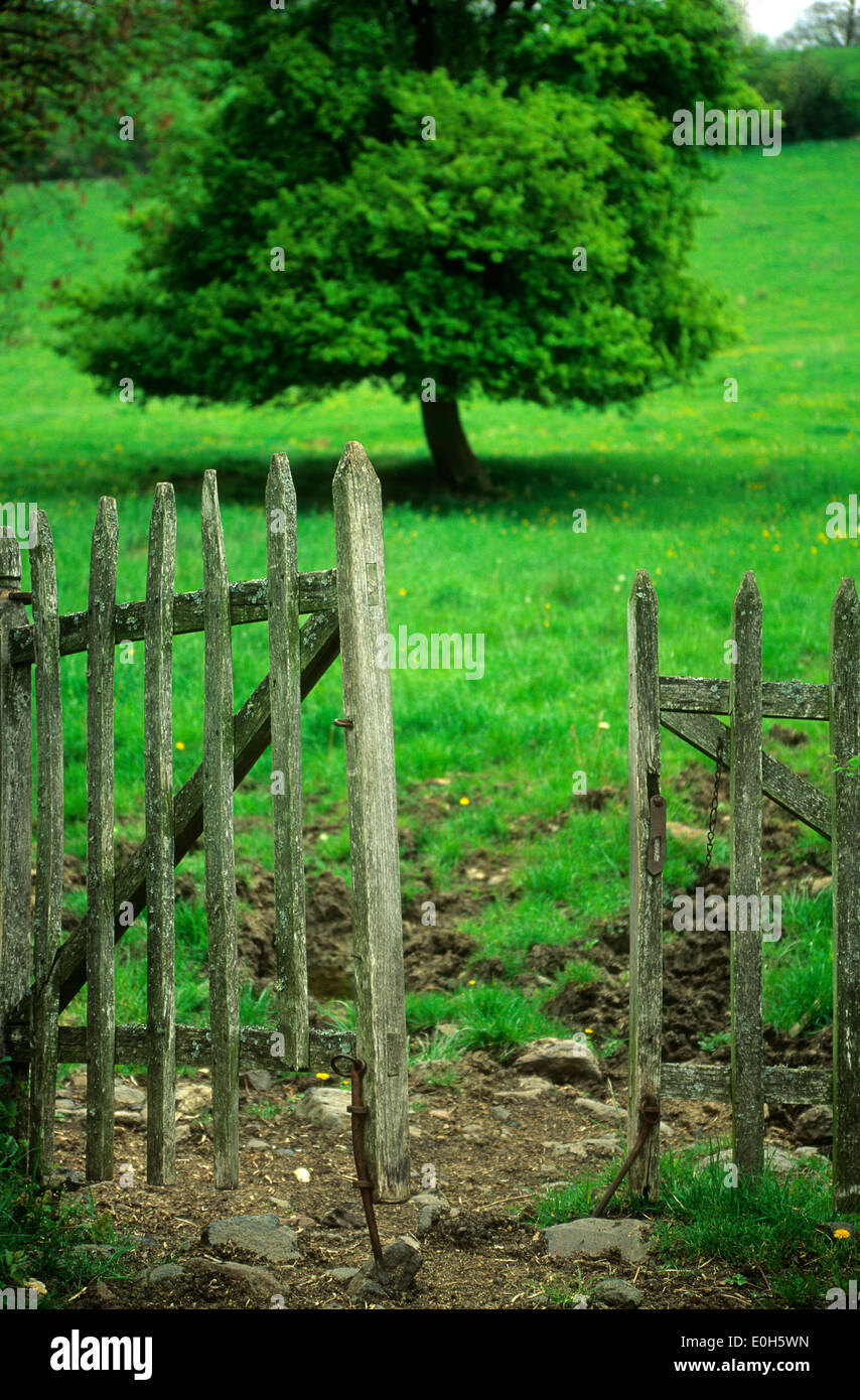 Gates in a field hi-res stock photography and images - Alamy