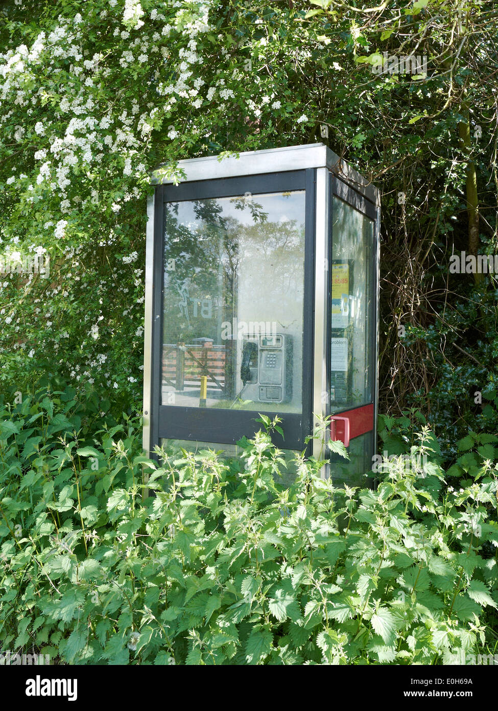 BT telephone box overgrown in rural Cheshire UK Stock Photo - Alamy
