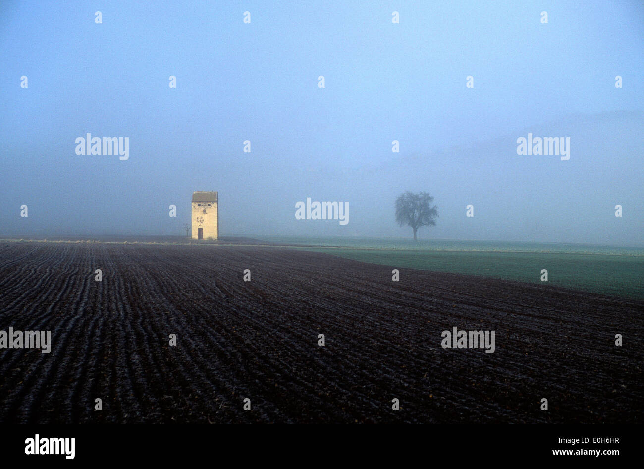 Dovecote and oak, Auvergne, France, Europe Stock Photo - Alamy
