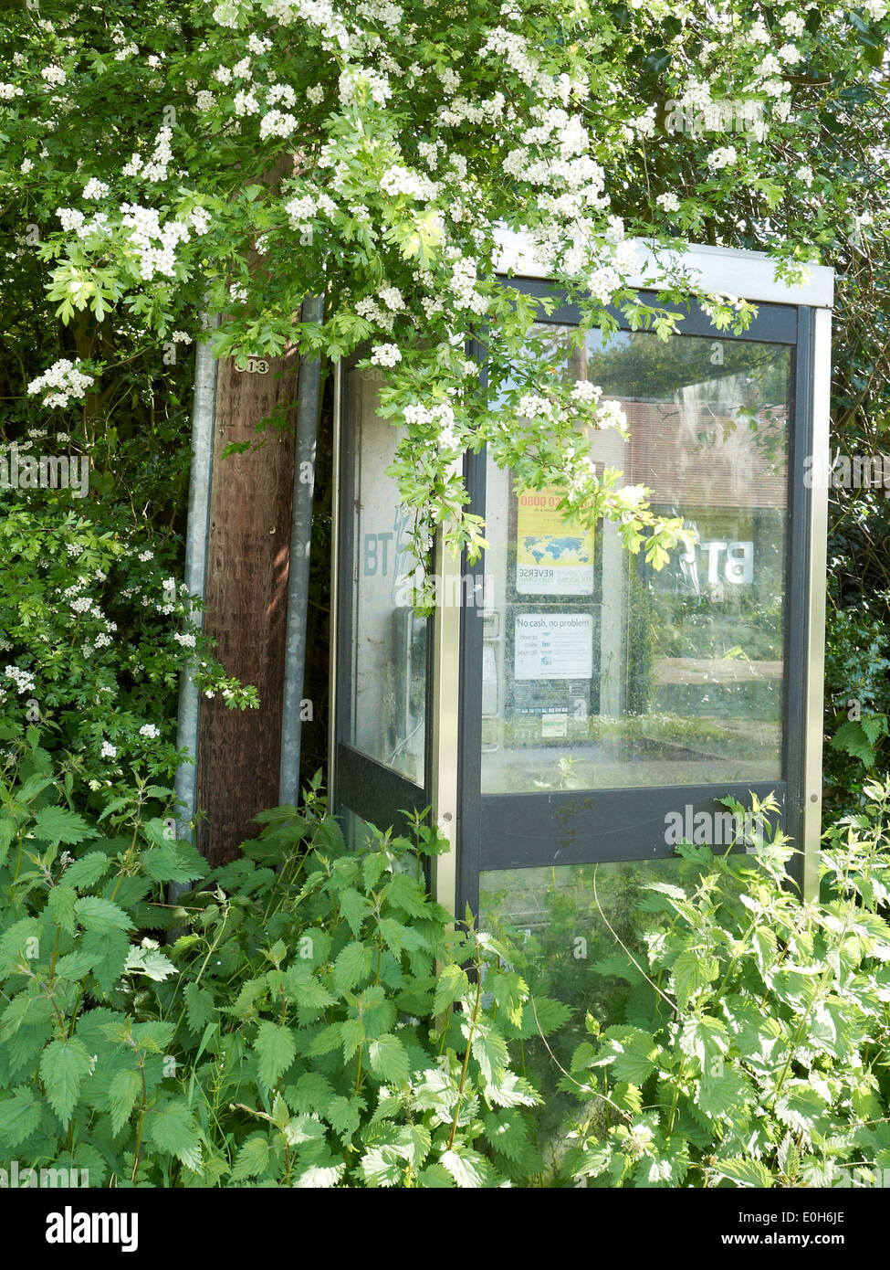 British telephonebox hi-res stock photography and images - Alamy