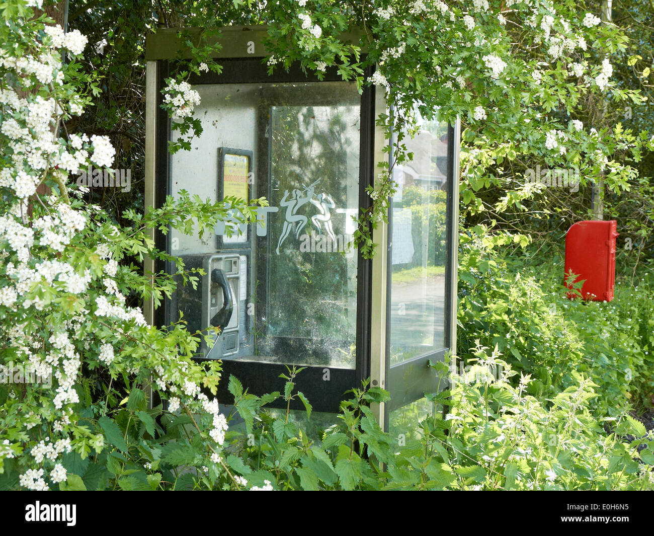Red telephone box overgrown plants hi-res stock photography and images ...