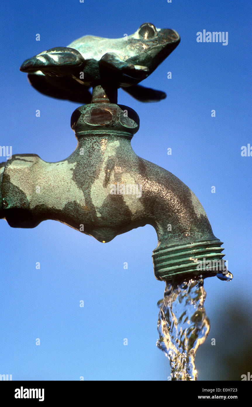 Frog water tap hi-res stock photography and images - Alamy