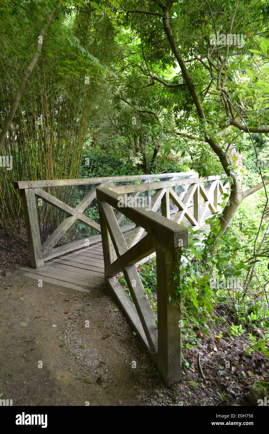 Rustic wooden footbridge in woodland setting Stock Photo - Alamy