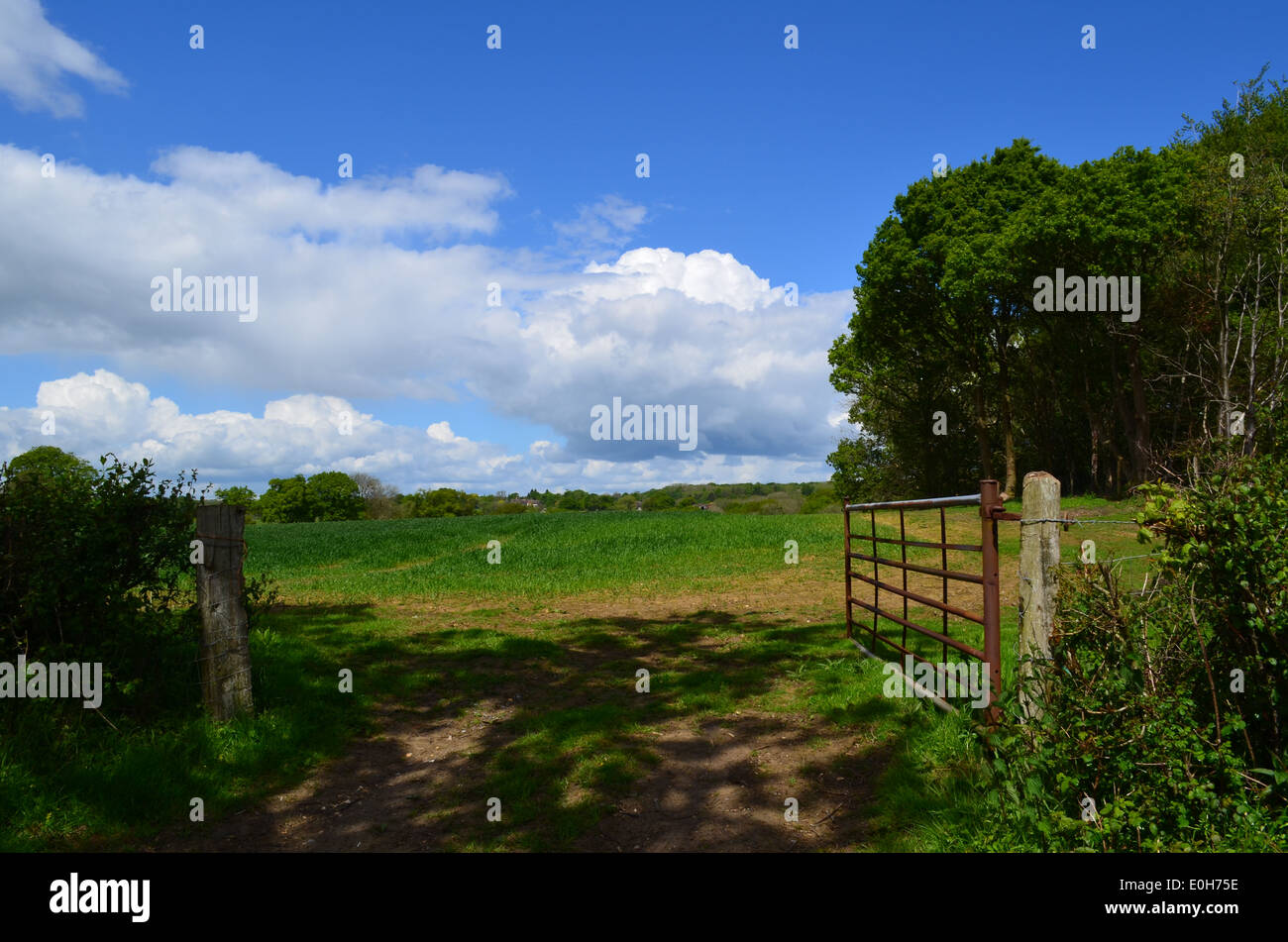 Open farm gate hi-res stock photography and images - Alamy