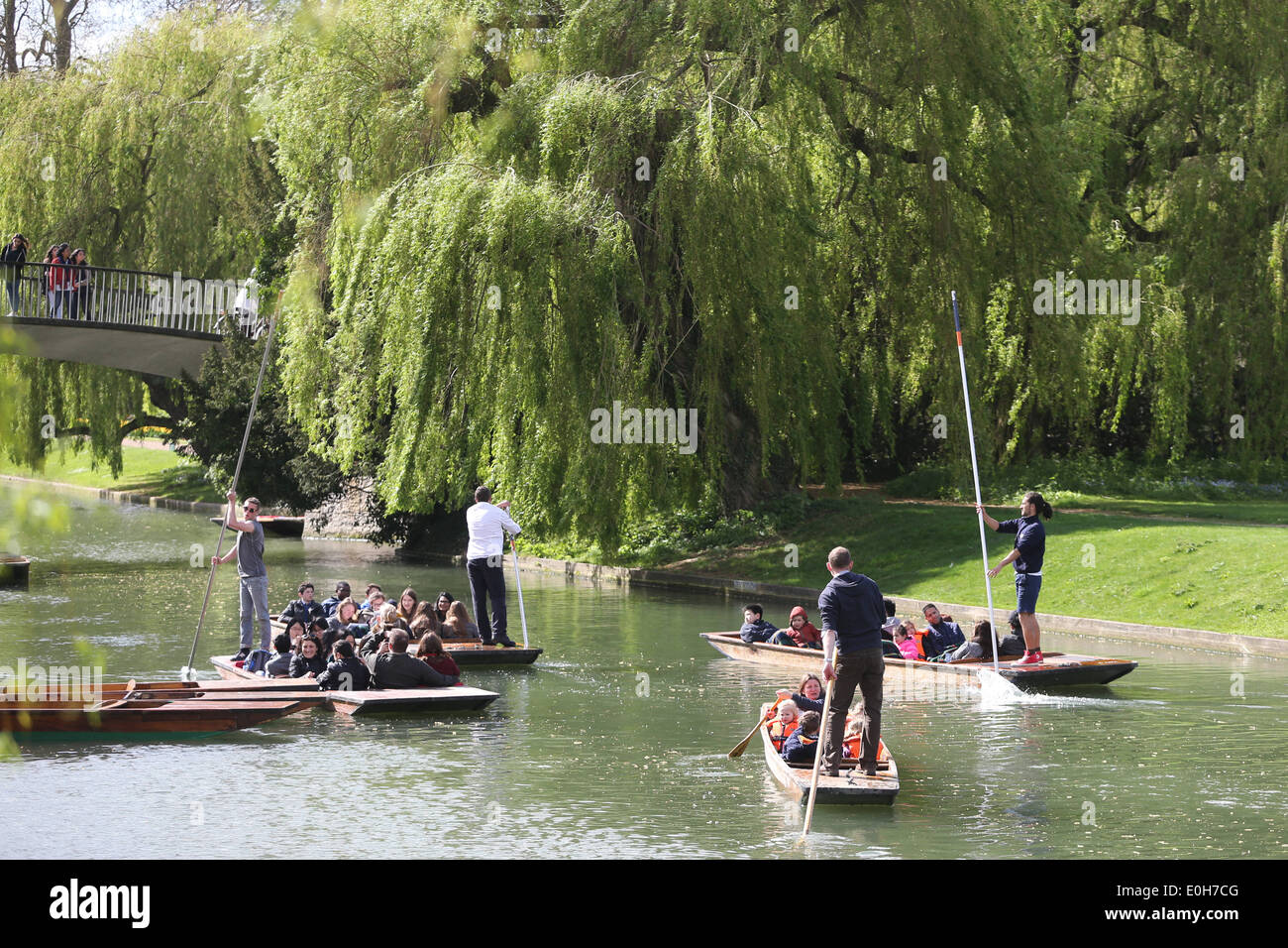 PUNTING ON THE RIVER CAM IN CAMBRIDGE Stock Photo - Alamy