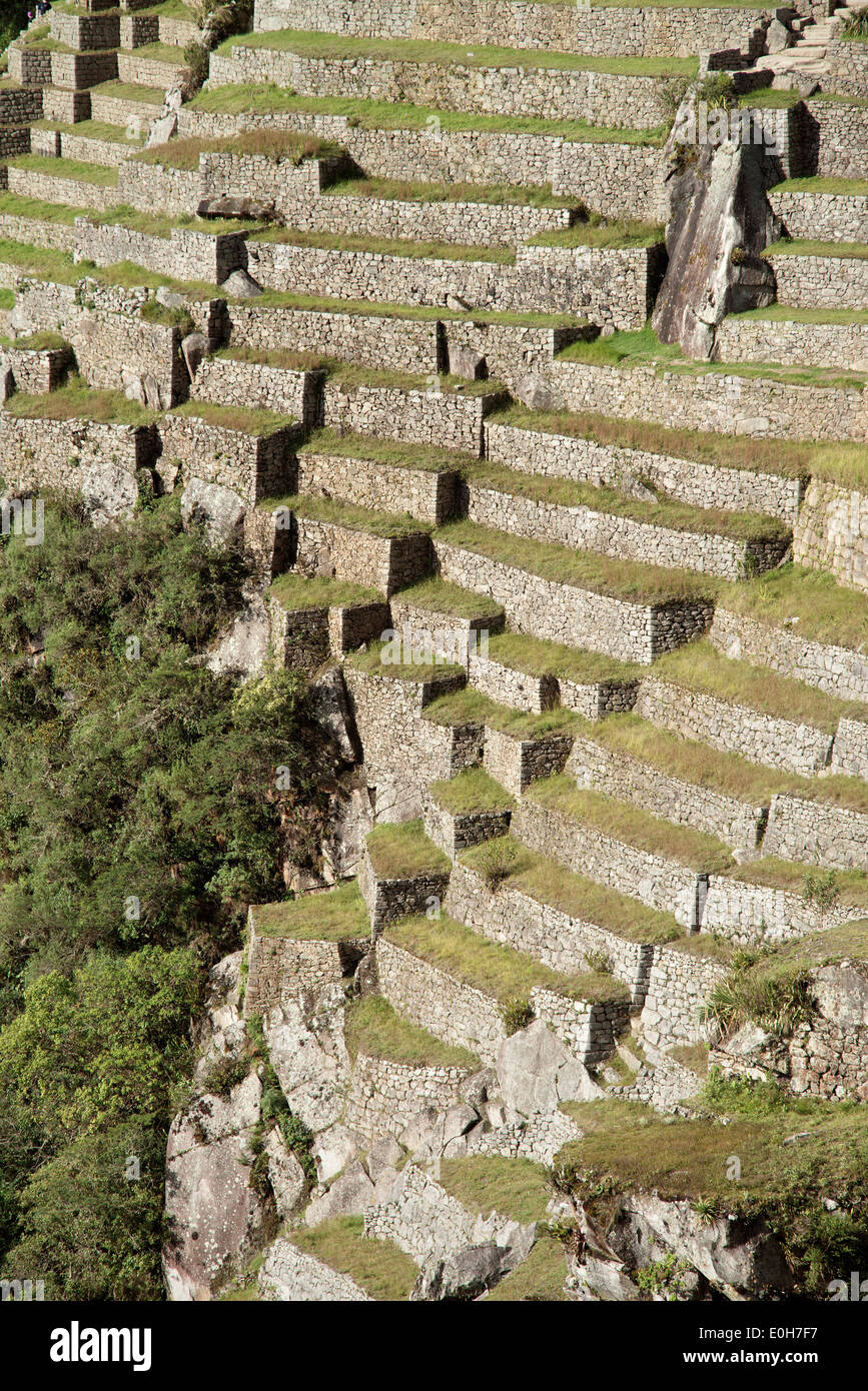 Detail of Terraces at Machu Picchu, Cusco, Cuzco, Peru, Andes, South ...