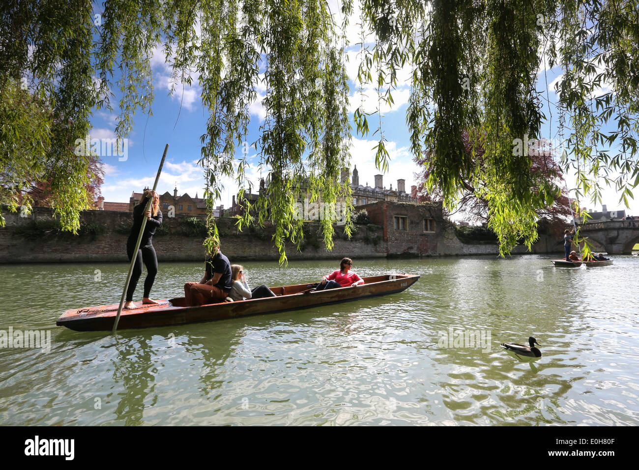 PUNTING ON THE RIVER CAM IN CAMBRIDGE Stock Photo - Alamy