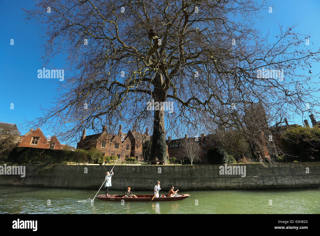 Happy punting on the river hi-res stock photography and images - Alamy