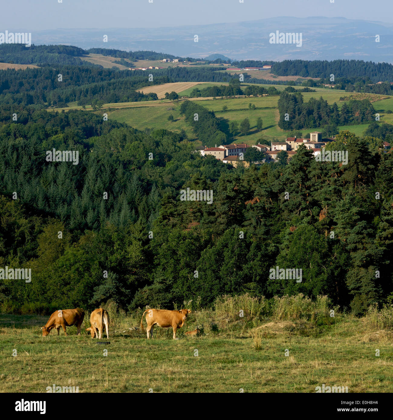 Village of Brousse in a valley, Livradois Forez, Auvergne, France Stock ...