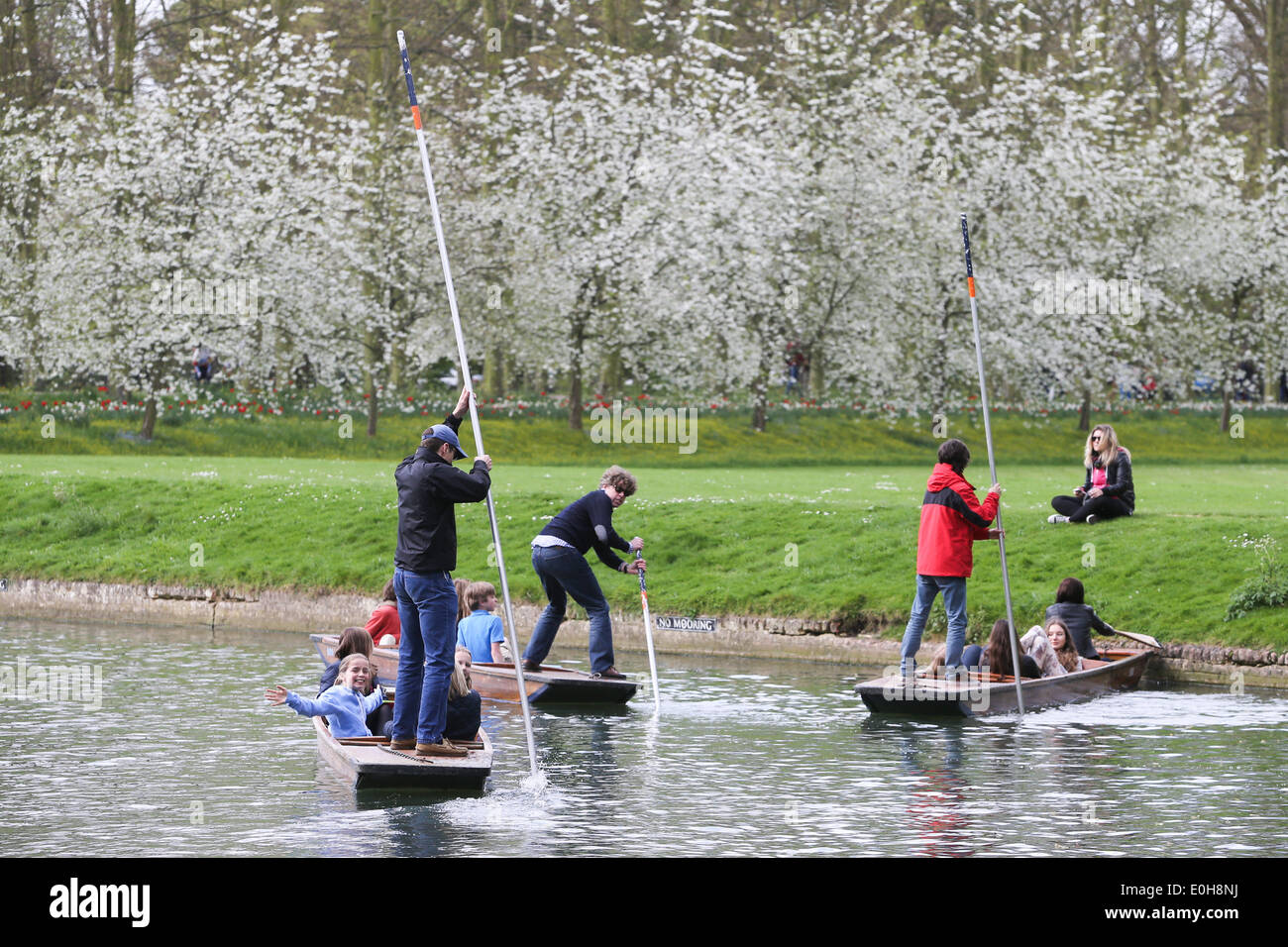 PUNTING ON THE RIVER CAM IN CAMBRIDGE Stock Photo - Alamy